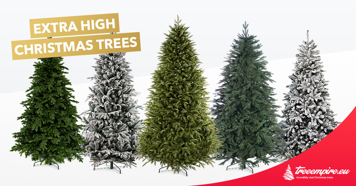 Extra high Christmas trees | Tree Empire